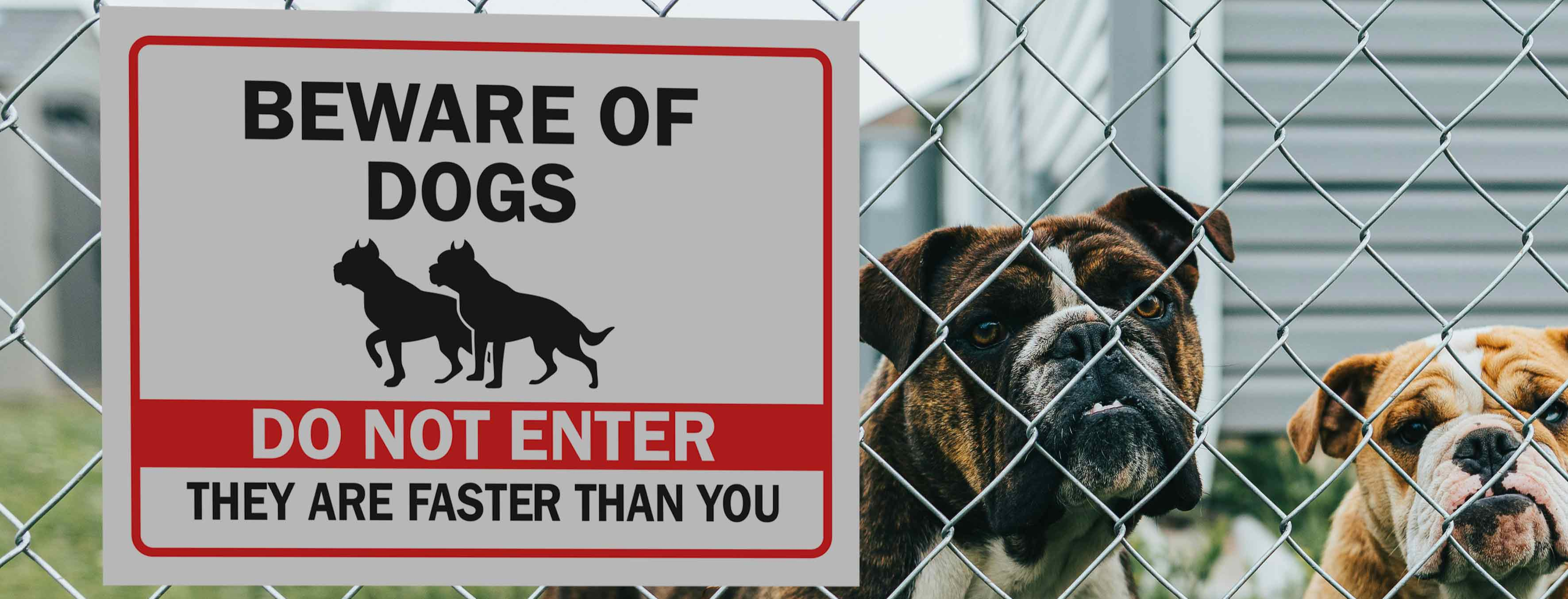 Beware of Dog Signs: A Must-Have for Responsible Dog Owners – New Signs