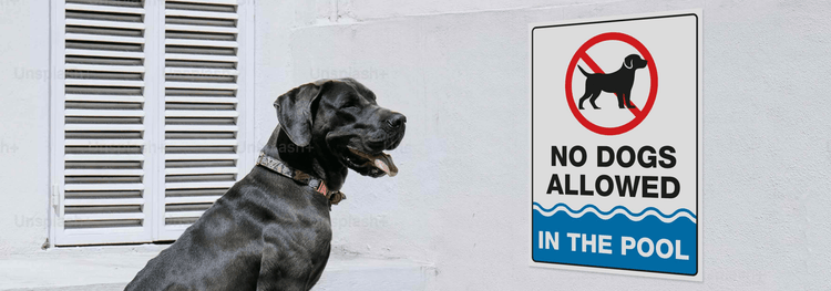 No Dogs Allowed Signs: Complete Guide for Property Owners – New Signs
