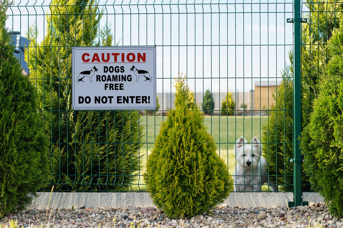 Caution Dogs Roaming Free Do Not Enter Sign – New Signs