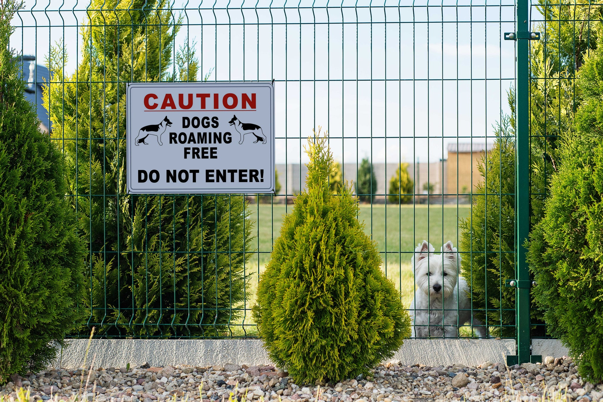 Caution Dogs Roaming Free Do Not Enter Sign – New Signs