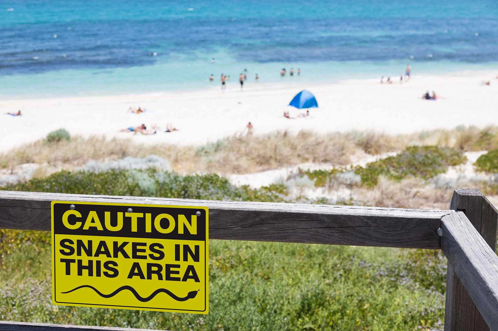 Caution Snakes In This Area Sign – New Signs