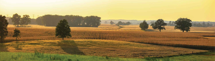 Farm Signage – New Signs