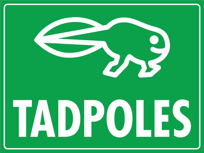 Tadpoles Sign – New Signs