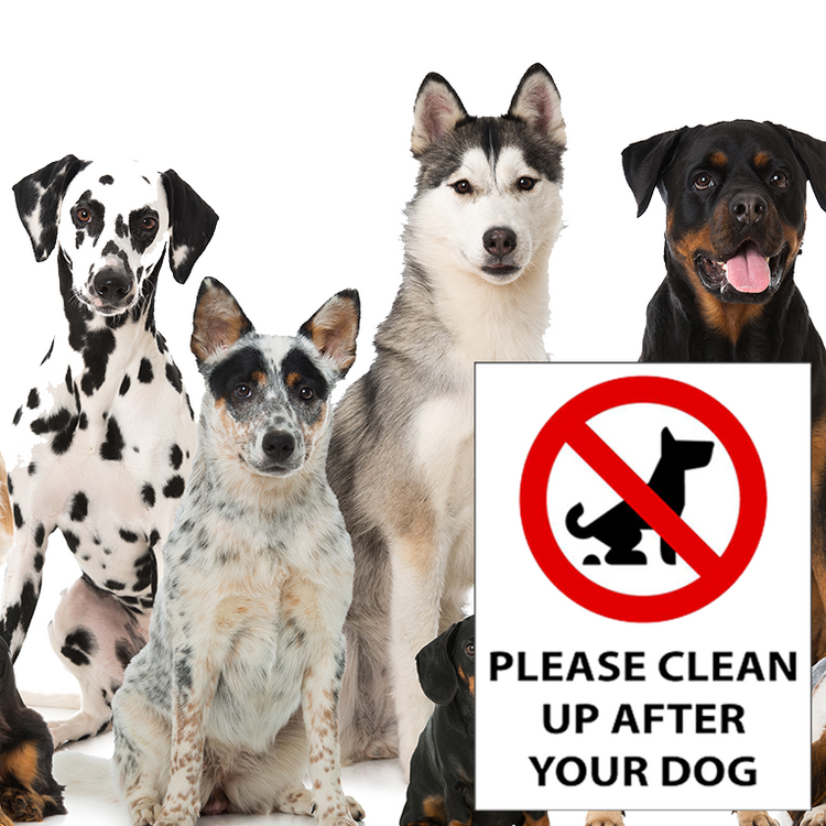 Dog Signs – New Signs