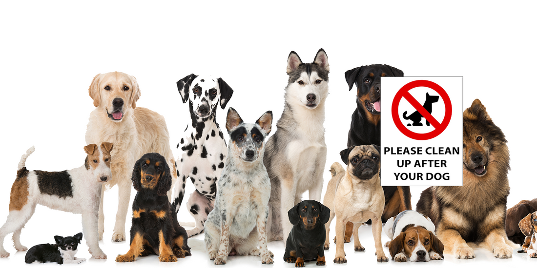 Dog Signs – New Signs