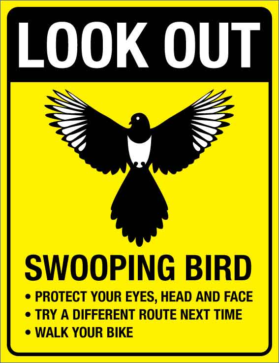 Look Out Swooping Bird Wheelie Bin Sticker – New Signs