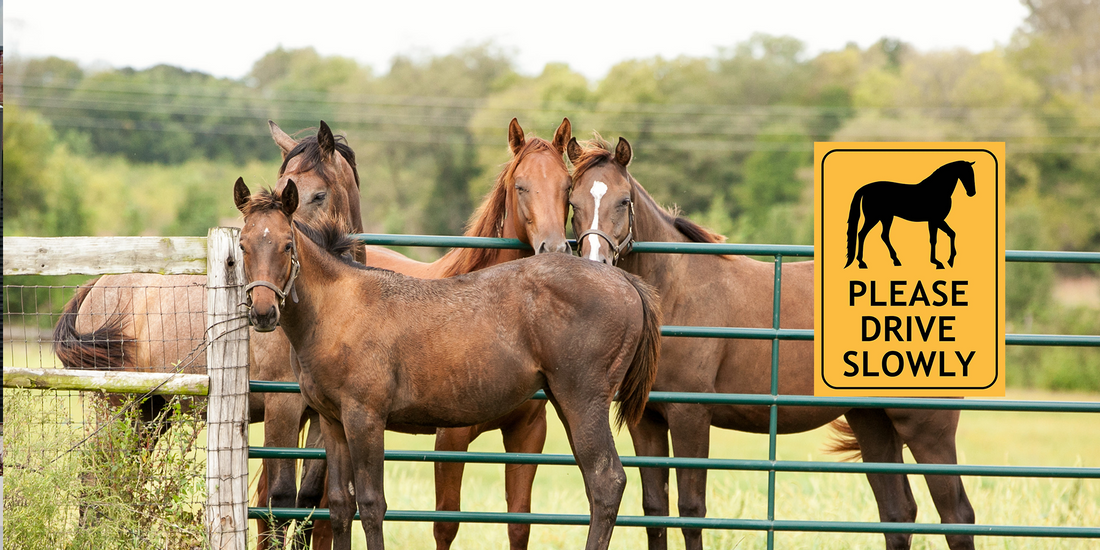 Horse Signage – New Signs