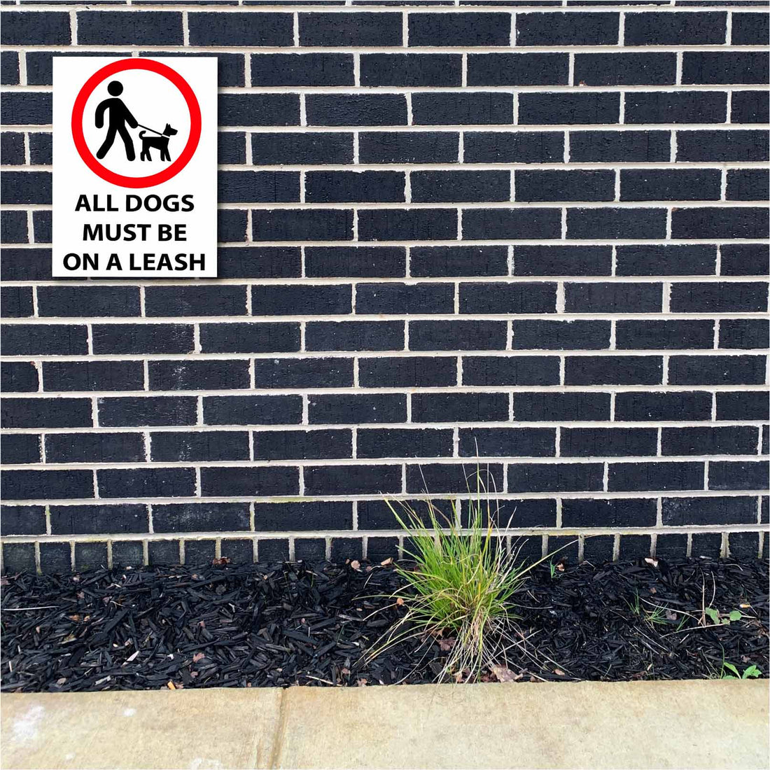 All Dogs Must Be On A Leash Sign – New Signs