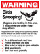 Warning Birds Swooping Sign – New Signs